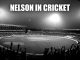 What is the Nelson in Cricket and the story behind its origin?